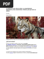 Anexo Lobos | PDF | Piel | Zoología