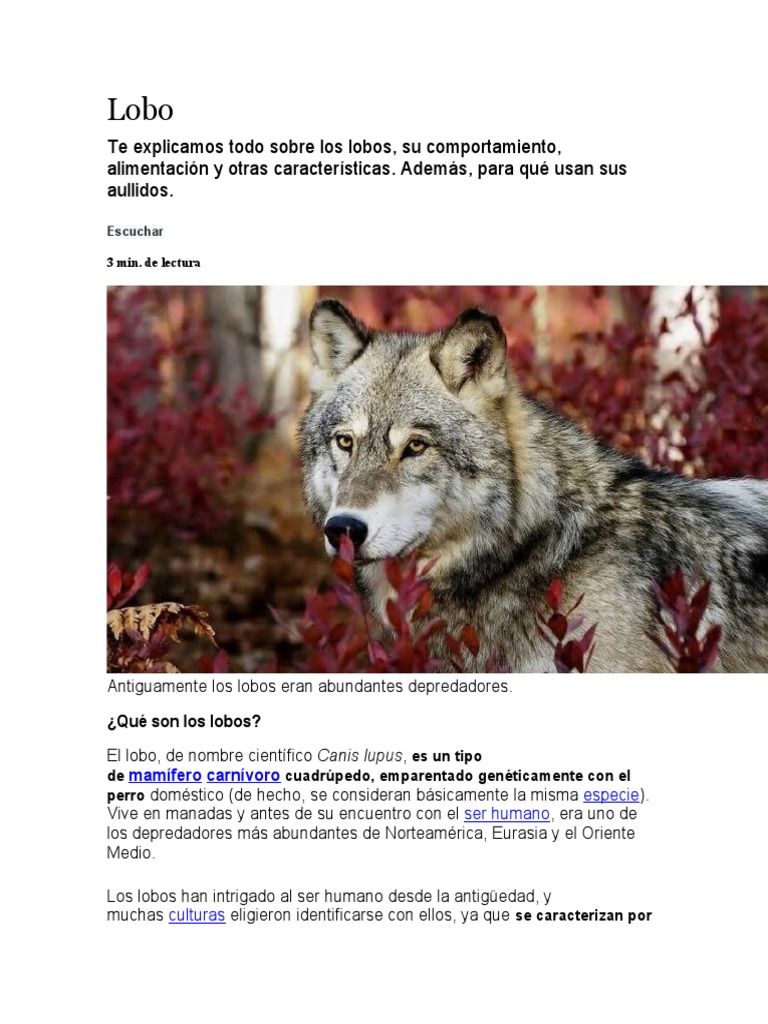 Lobos Salvajes | PDF | Mamíferos