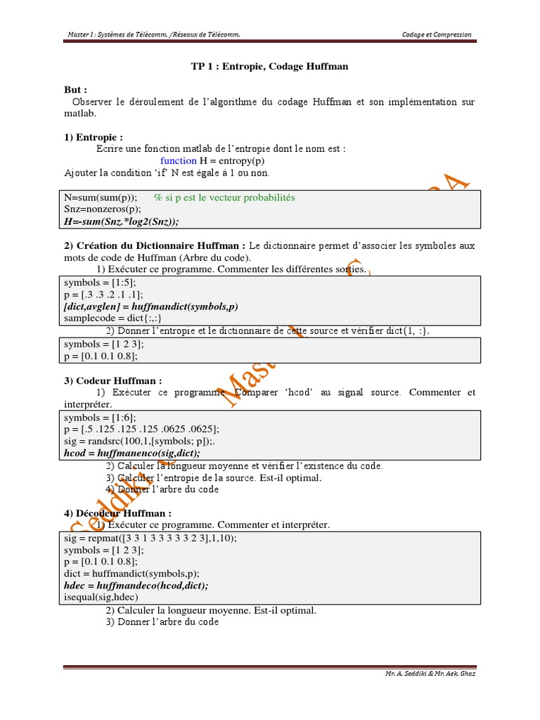 Fiche TP Codage MasterI TLC RTST | PDF | Compression de données | Algorithmes