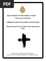 Zap Manual | PDF | HDMI | Televisão digital