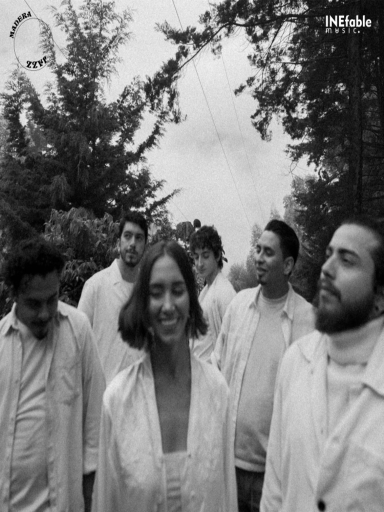 Modelo de Librillo PDF | PDF