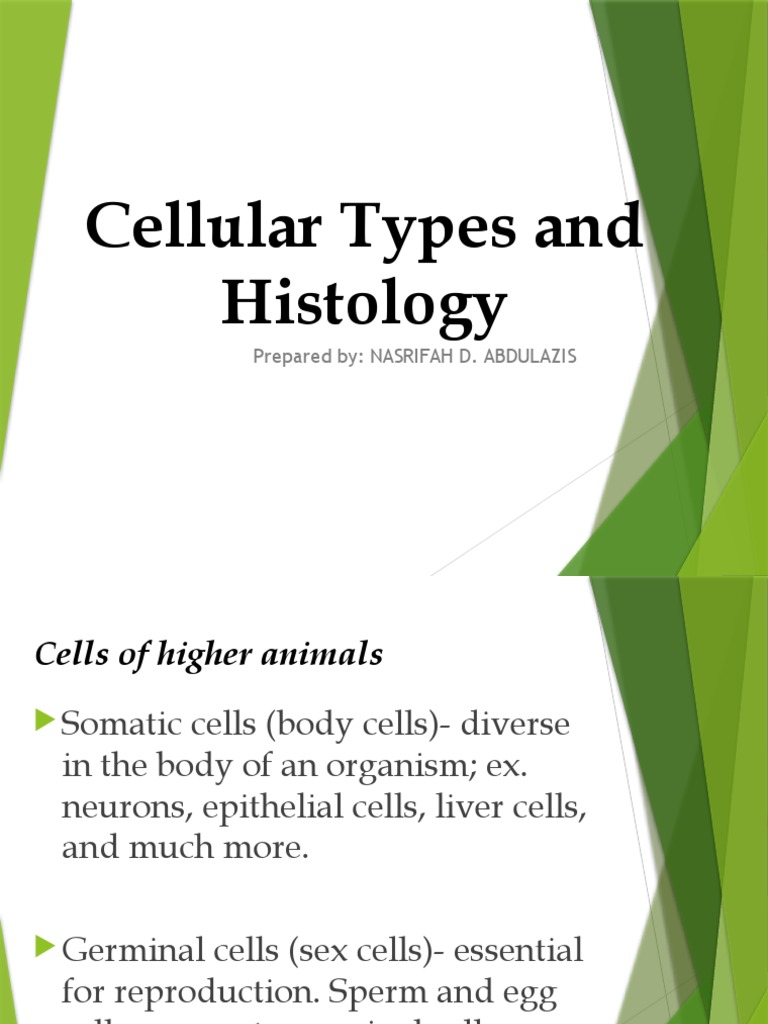 Cellular Diversity and Tissue Histology: A Comprehensive Overview of the Structure and Function ...