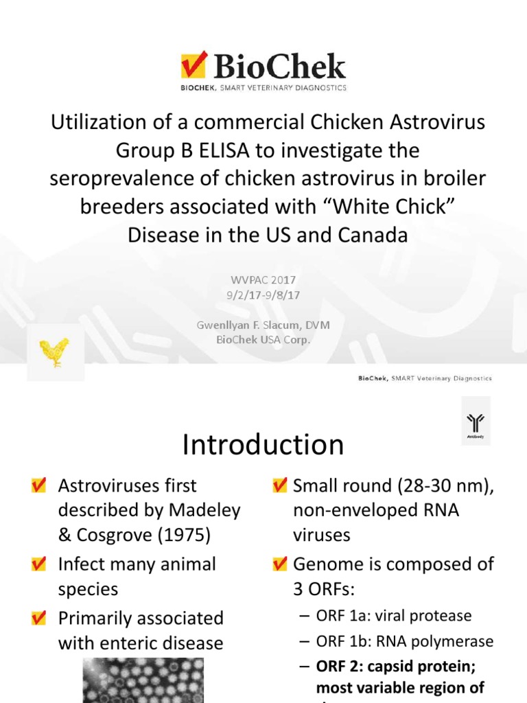 CAstV Biochek Slacum WVPA 2017 PDF | PDF | Elisa | Microbiology