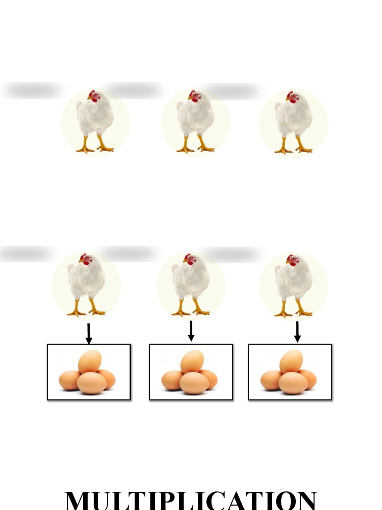 Multiplication Year 4 | PDF | Honey Bee | Beehive