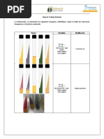Prueba de Pyr | PDF | Estreptococo | Microbiología