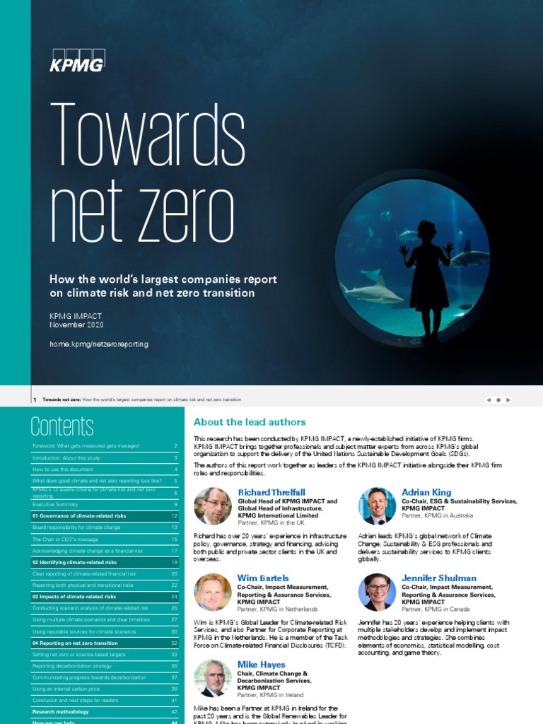 Towards Net Zero PDF | PDF | Climate Change | Climate Change Mitigation