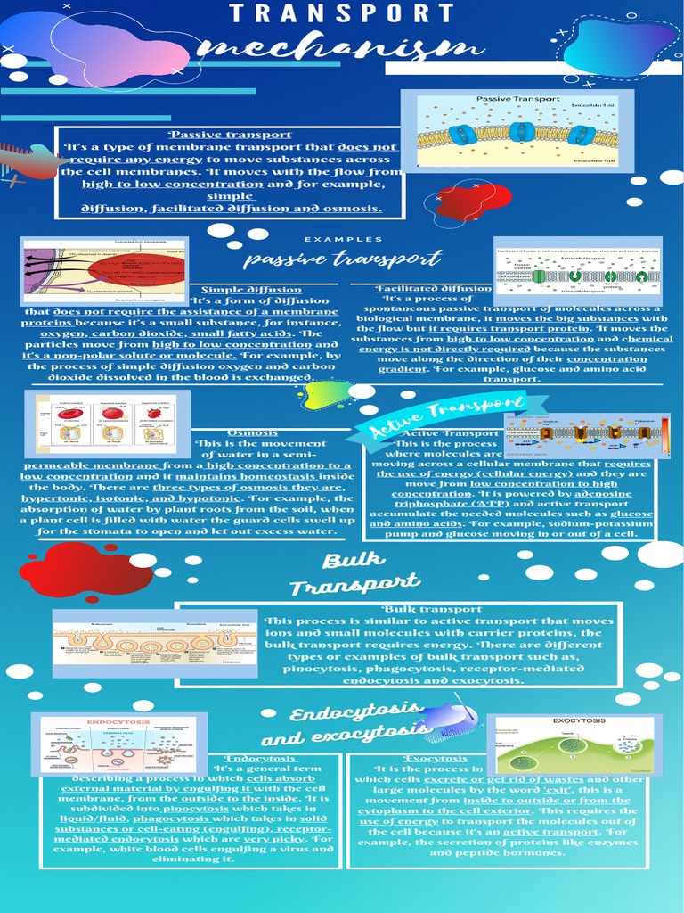 Transport Mechanism Infographics | PDF | Physical Sciences | Biophysics