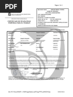 Formato Incapacidad Imss Editable Word | PDF