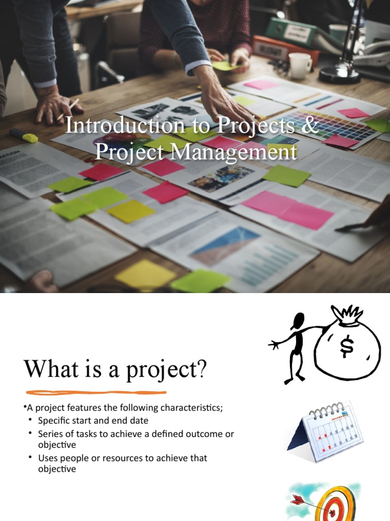Introduction To Projects & Project Management | PDF