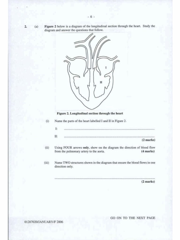 CSEC Biology - B4 PPQs PDF | PDF