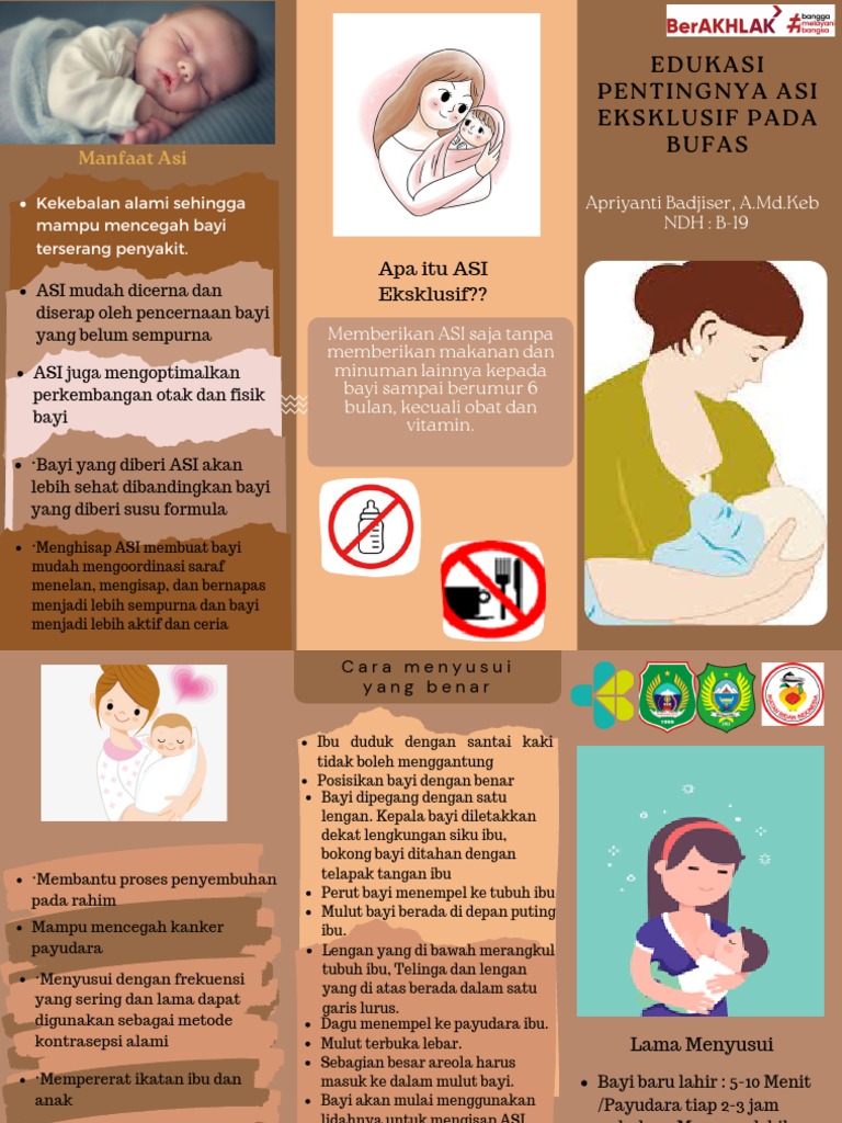 Leaflet Asi Eksklusif | PDF