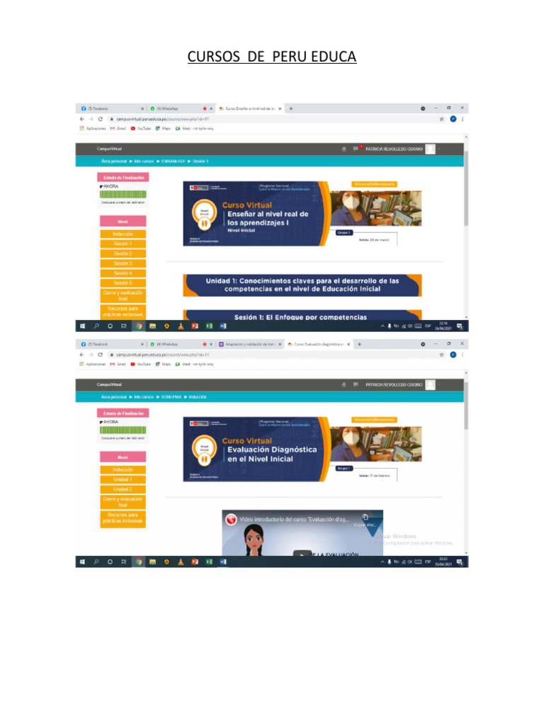 Cursos de Peru Educa | PDF