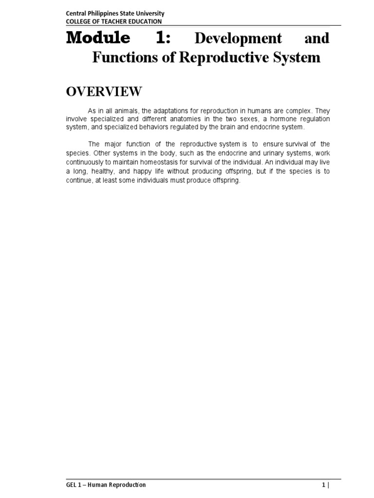 Overview of Human Reproductive System | PDF | Reproductive System ...