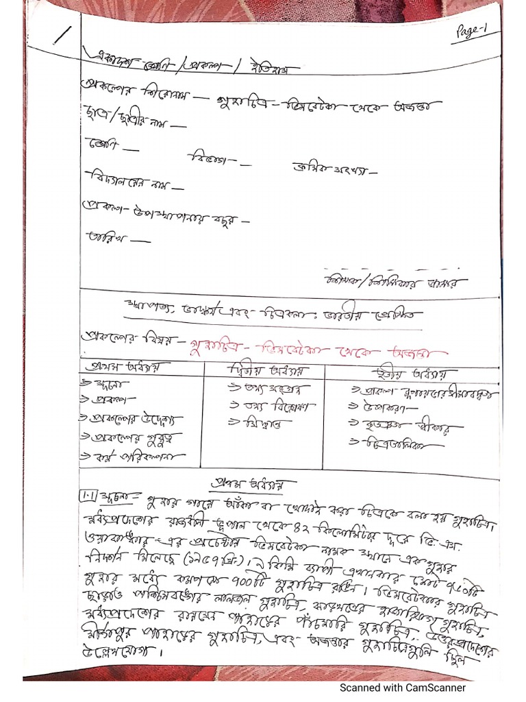 Class 11 History Project PDF | PDF