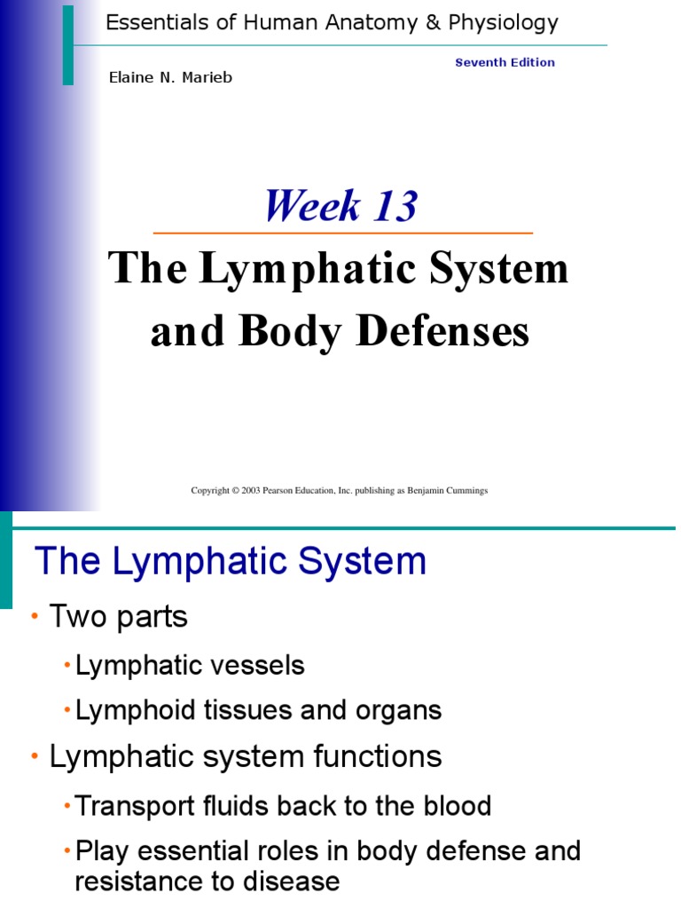 The Lymphatic System PDF | PDF | Lymph | Lymphatic System