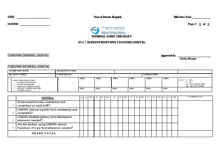 Ipsg Goal 2 | PDF | Internal Audit | Health Care