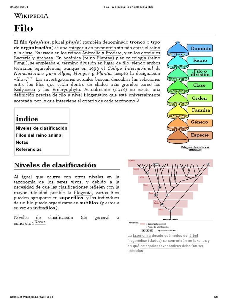Filo | PDF | Eucariotas | Biología