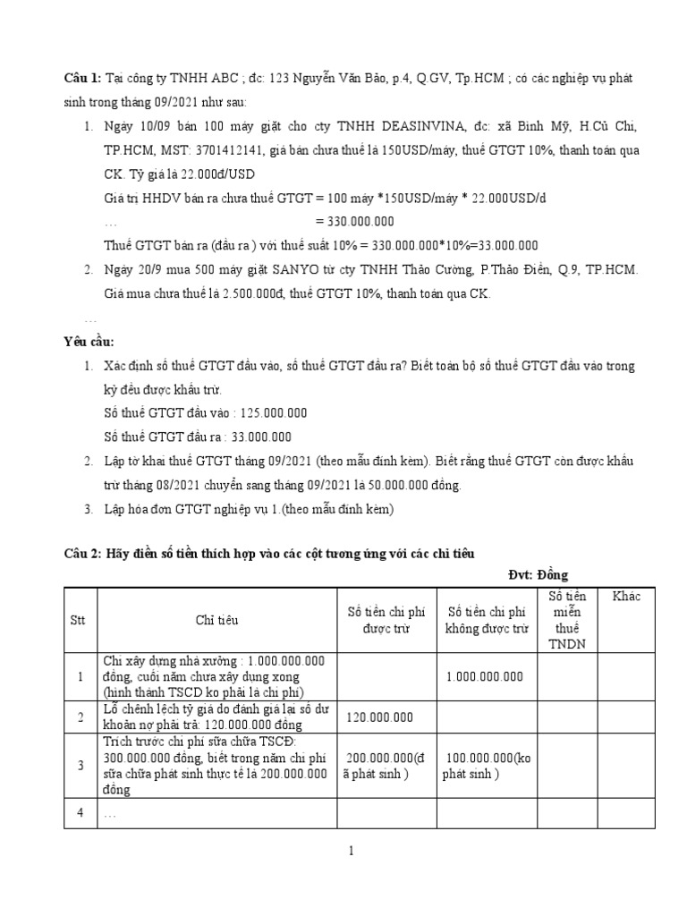 Dtgk-Bao Cao Thue-Mau | PDF