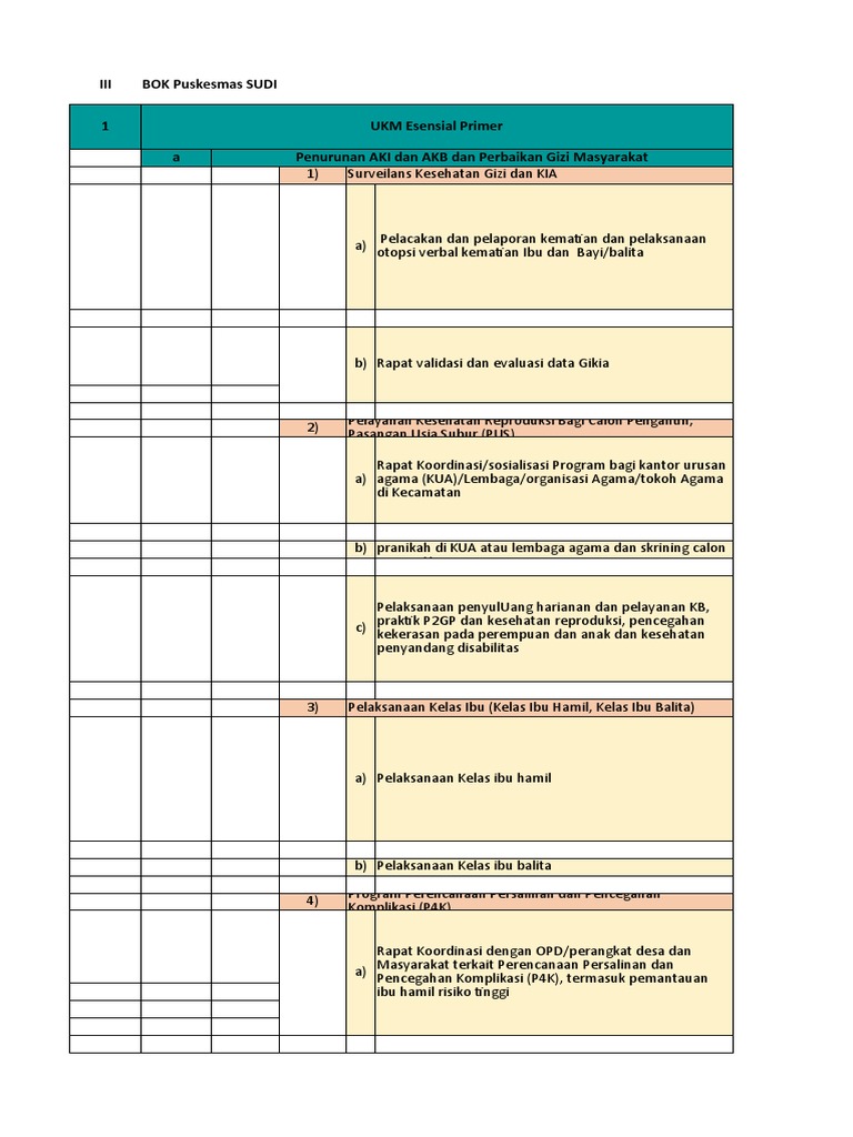 RKT Bok Desk Kemenkes 2023 PKM Sudi Baru | PDF