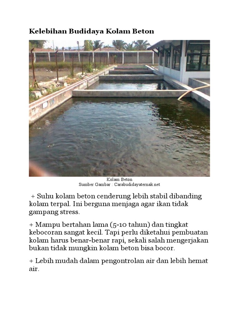 Kelebihan Budidaya Kolam Beton | PDF
