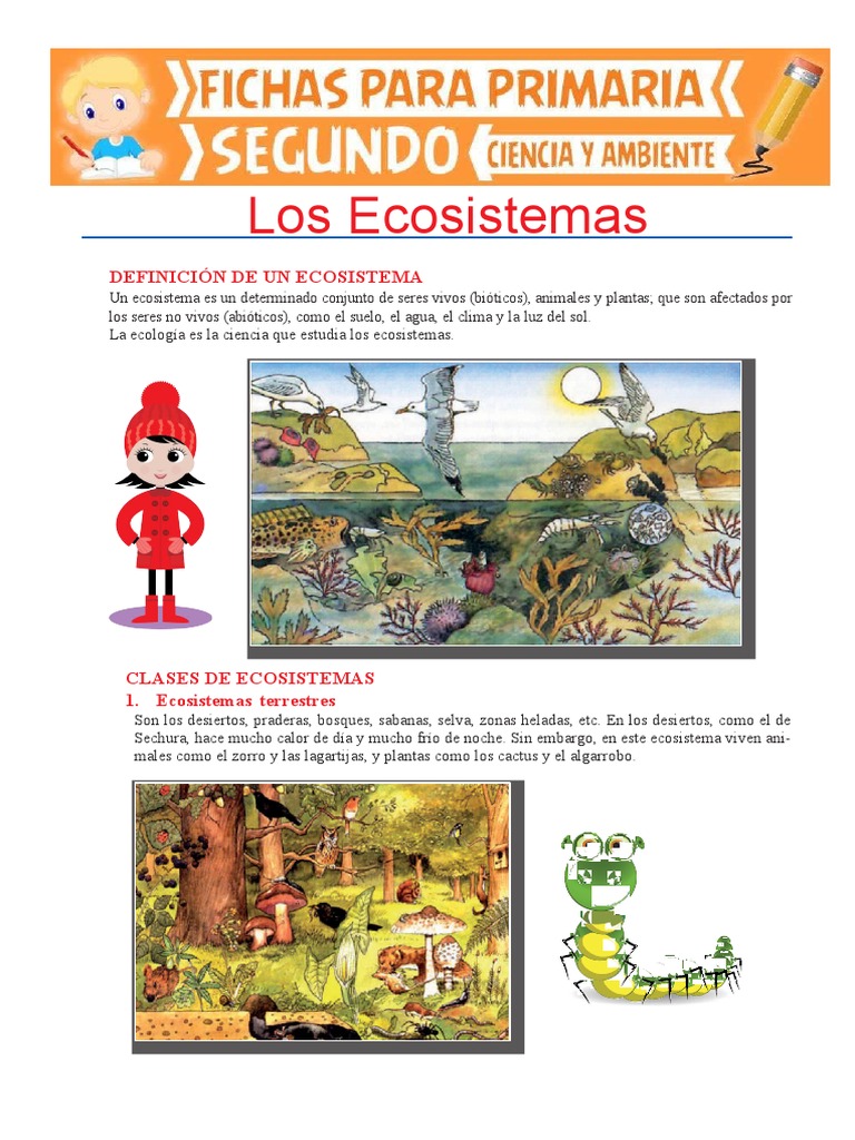 Los Ecosistemas para Segundo de Primaria | PDF | Ecosistema | Naturaleza