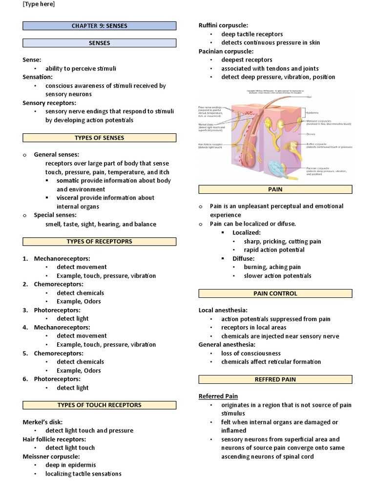 Overview of Human Special Senses | PDF | Ear | Senses