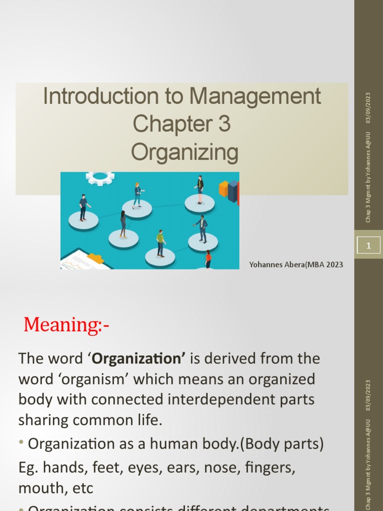 Organizing Chapter 3 Introduction To Management | PDF | Business ...