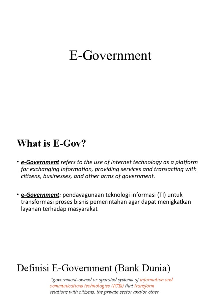 E Government | PDF