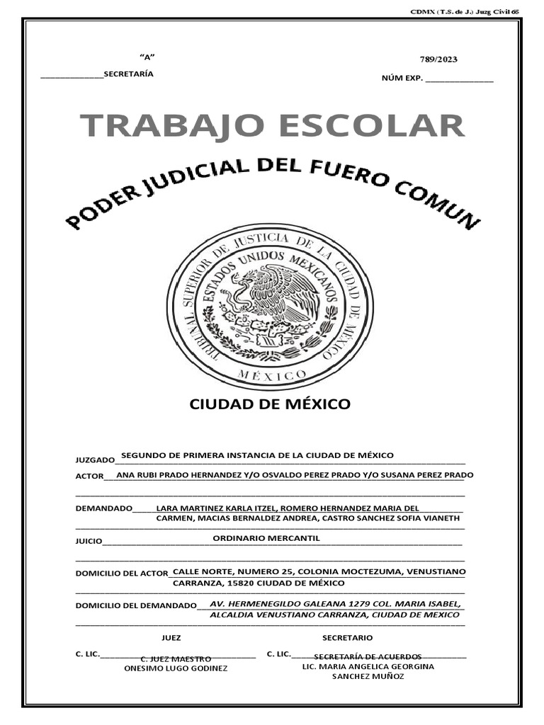 Carátula Para Expediente Judicial Civil Pdf