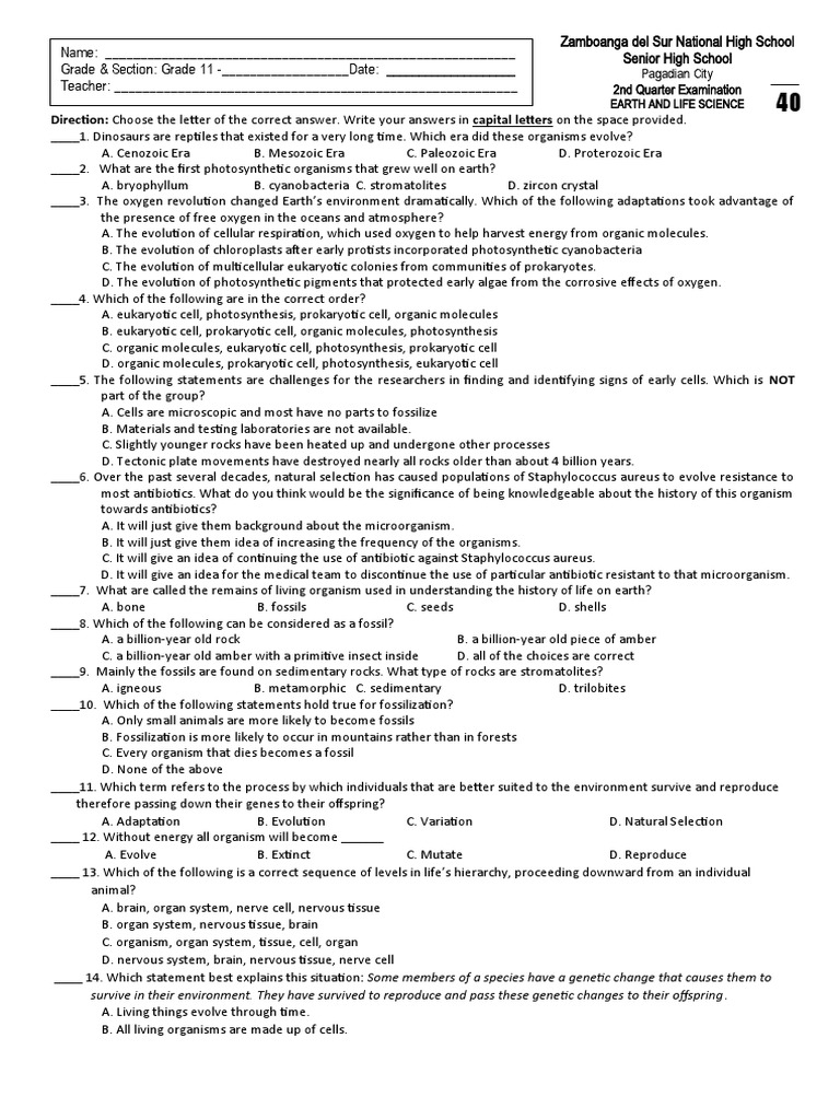 Eukaryotic Cell Evolution Exam | PDF | Cell (Biology) | Organelle