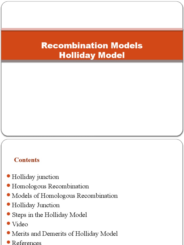 Recombination Models (Holliday Model) | PDF | Dna | Base Pair