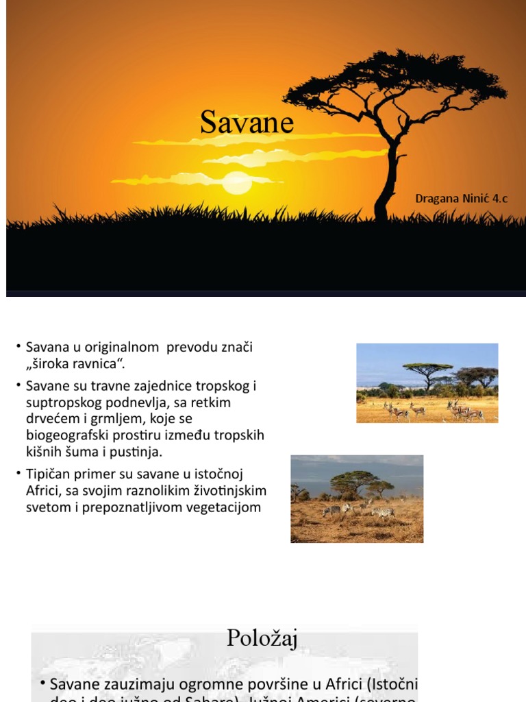 Savane | PDF