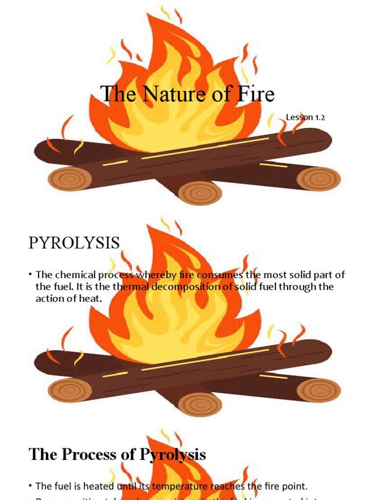 The Nature of Fire | PDF | Combustion | Fires