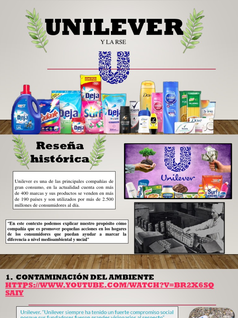 Rse Unilever | PDF