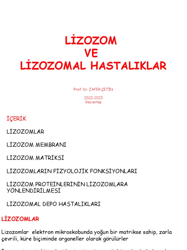 Lizozom Ve Lizozomal Hastalıklar | PDF