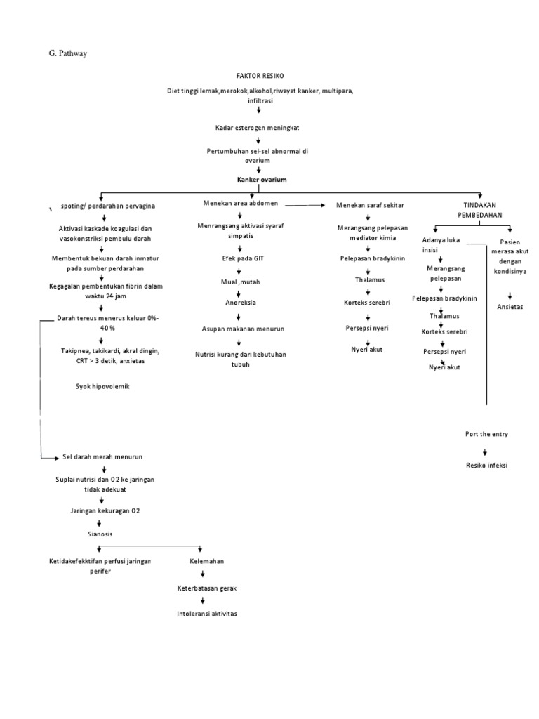 Pathway Ca Ovarium | PDF