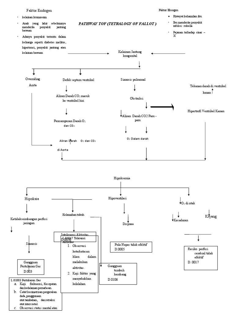 Pathway Kurang Edit | PDF