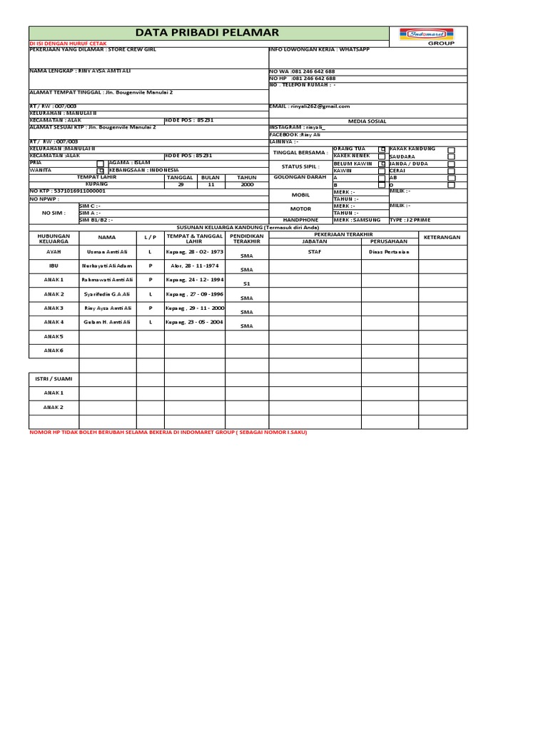 Data Pribadi Pelamar Idm 2022 | PDF
