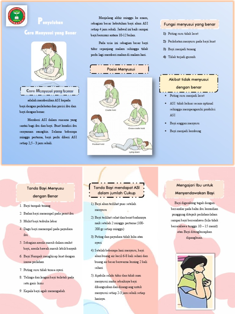 Panduan Menyusui yang Benar dan Efektif | PDF