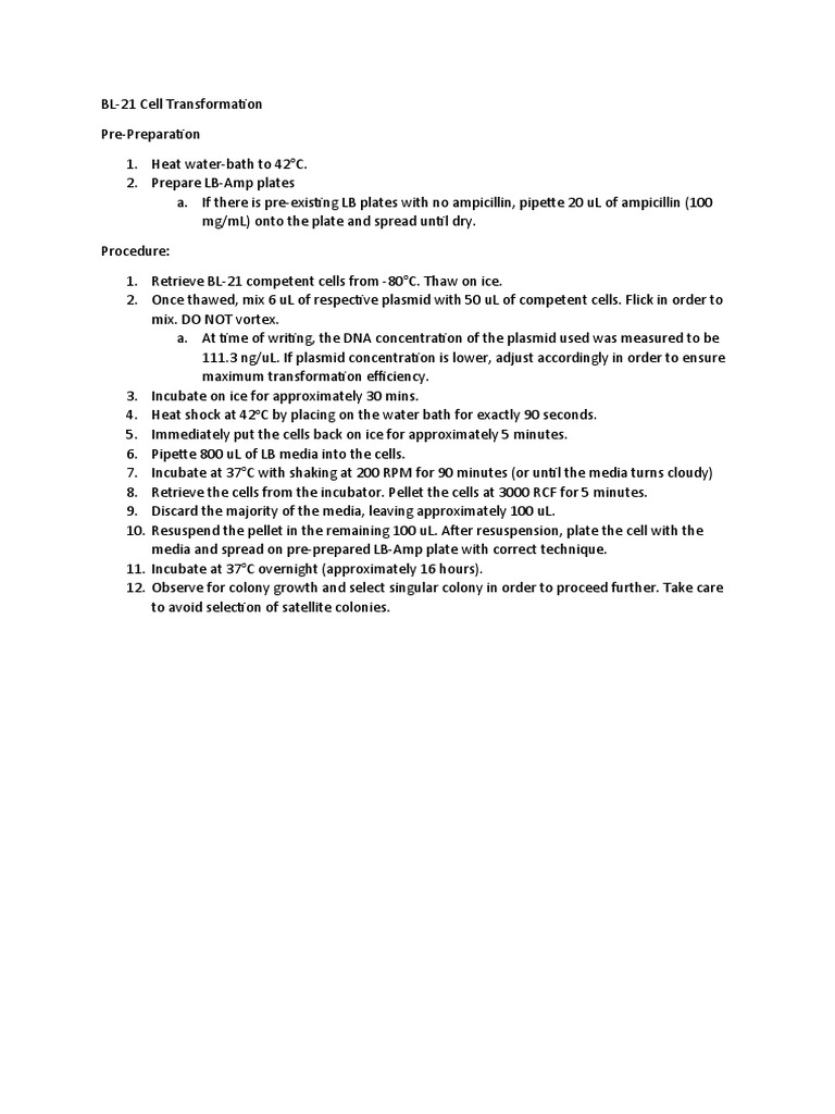 Bacterial Transformation | PDF