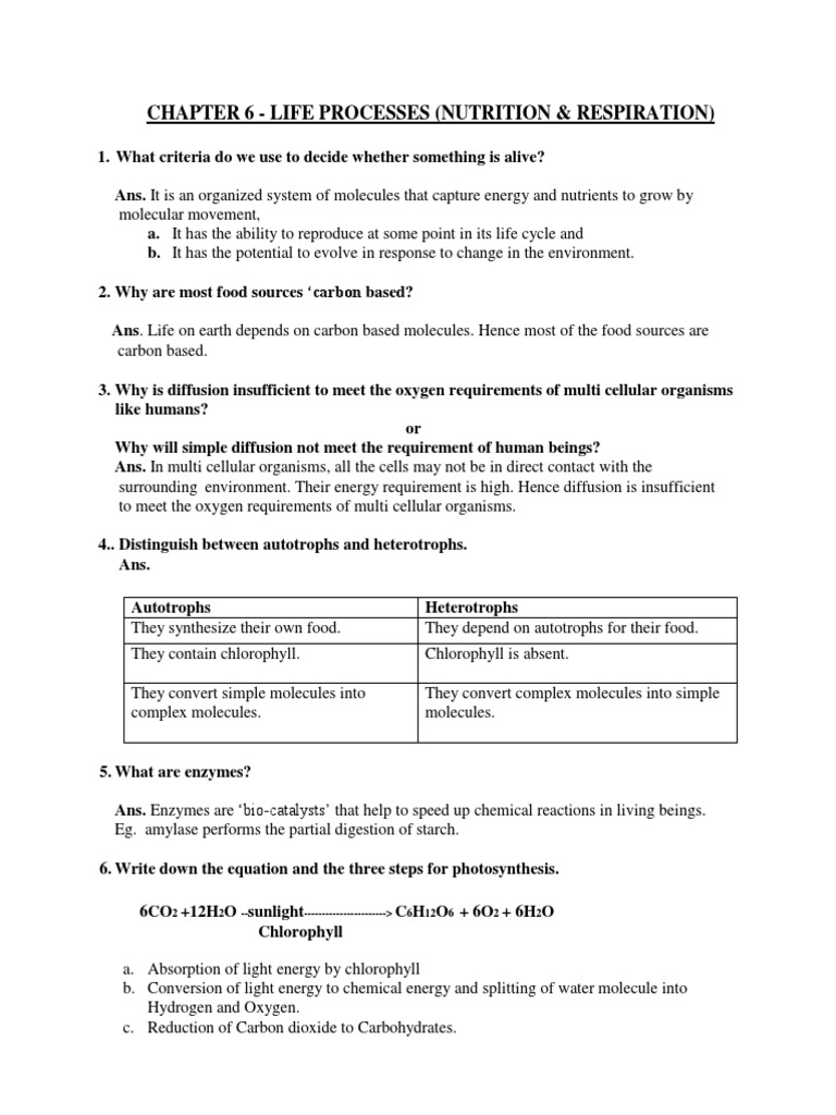 Life Processes Notes (Nutrition & Respiration) - 1 | PDF | Stoma ...
