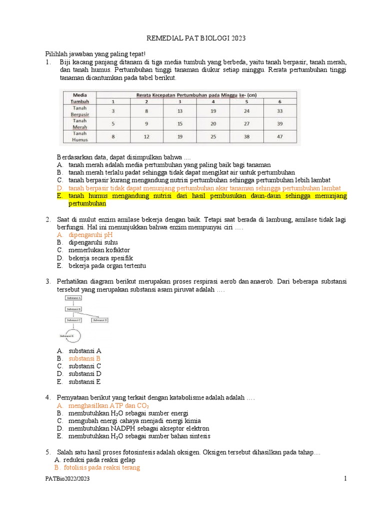 Remed Pat Xii Mipa 2023 | PDF