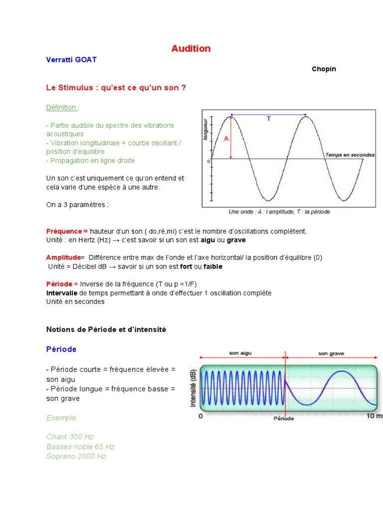 Comprendre le Son : Physique et Audition | PDF | Oreille | Son