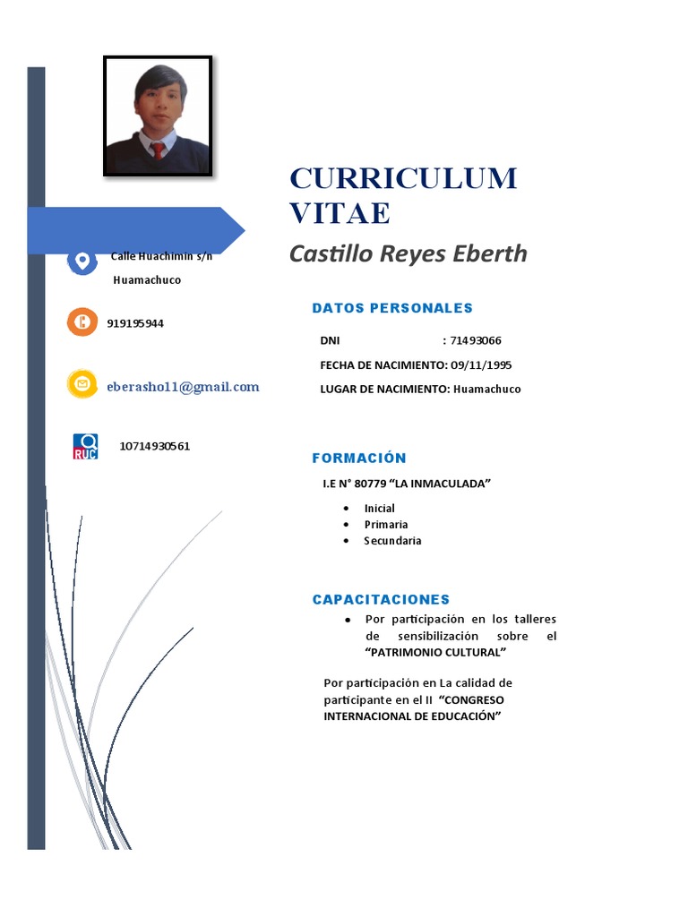 Currículum Vitae Eberth Castillo Reyes | PDF