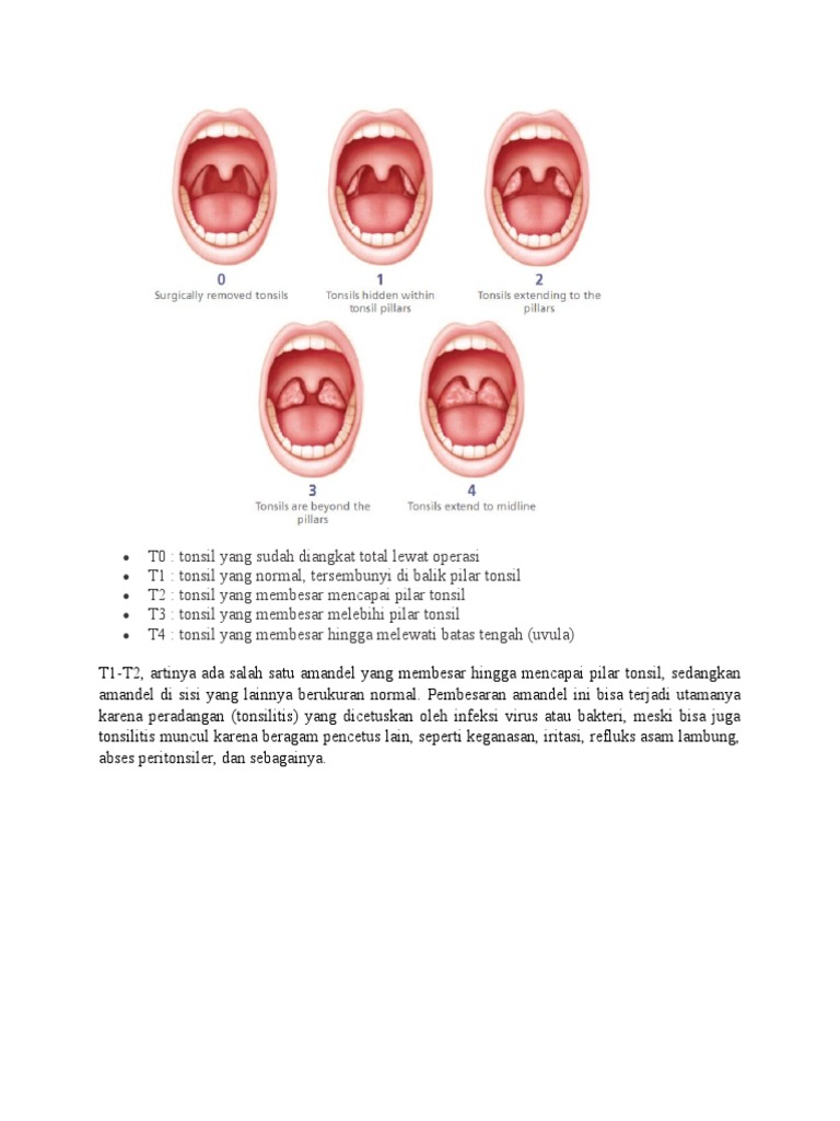 Pemeriksaan Fisik | PDF