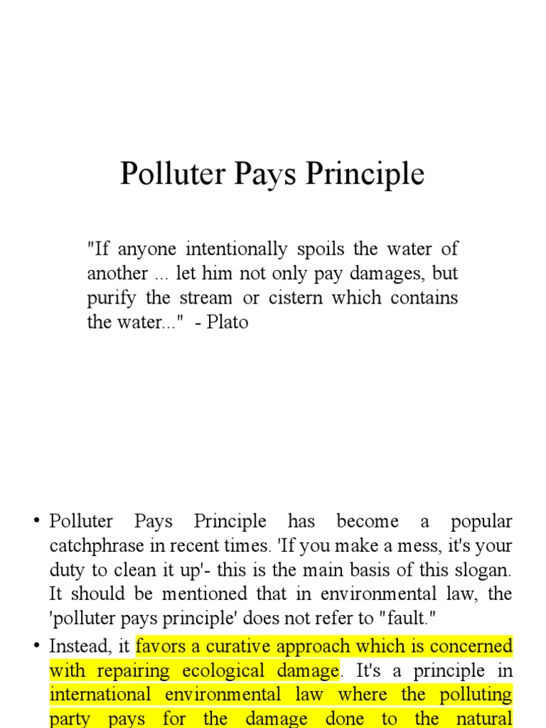 Polluter Pays Principle | PDF | Sustainability | Sustainable Development