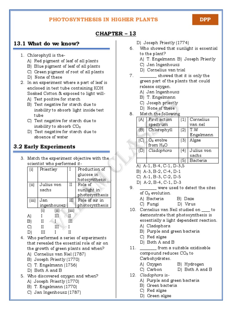 Photosynthesis Quiz for Students | PDF | Photosynthesis | Chloroplast