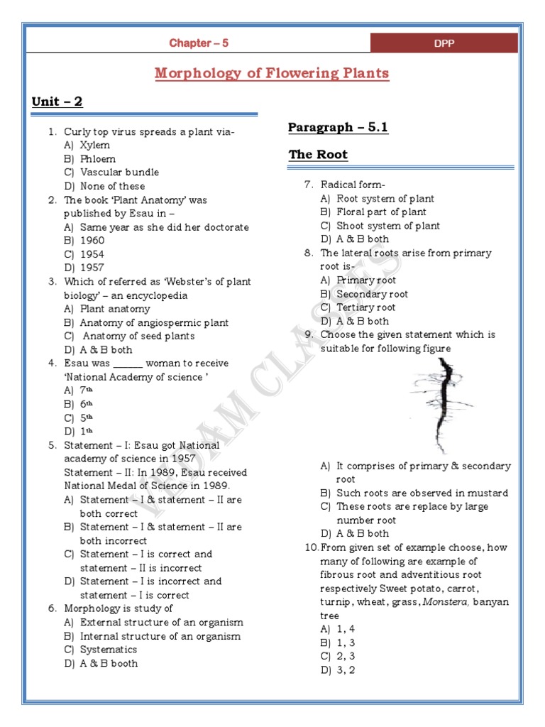 DPP XI Chapter - 5 Morphology of Flowering Plants 19 | PDF | Leaf | Morphology (Biology)