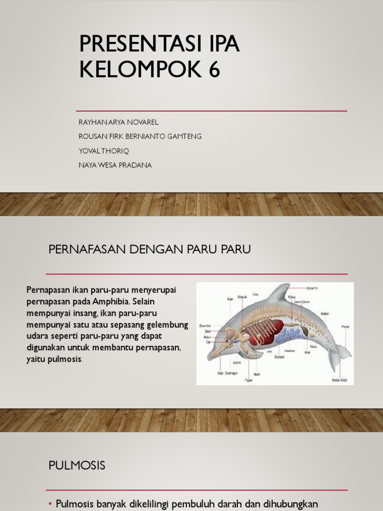 Presentasi Pernapasan Ikan.pdf | PDF