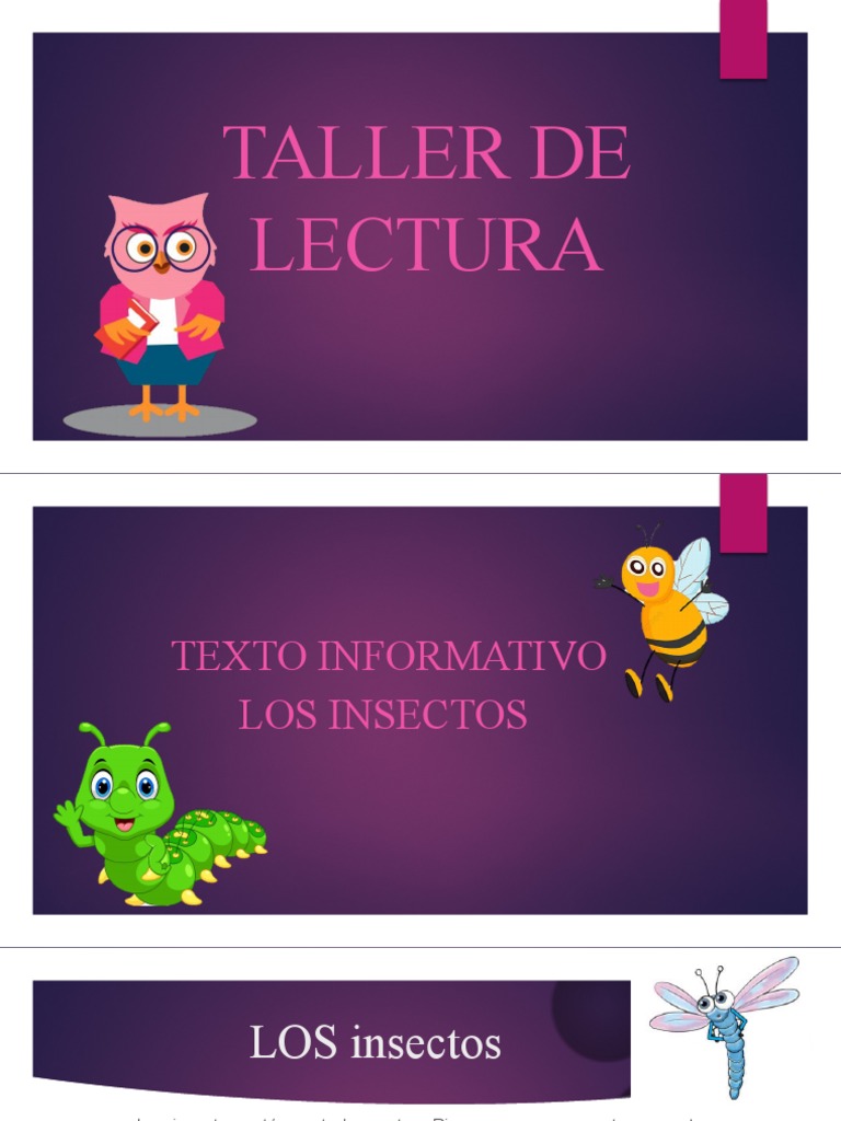 Texto Informativo Los Insectos | PDF